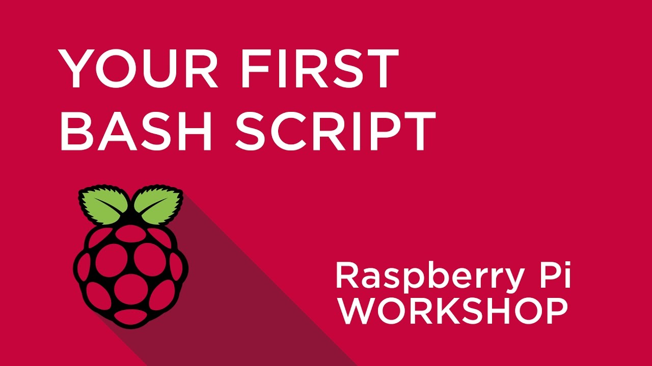 Raspberry Pi Workshop - Chapter 3 - Your First Shell Script