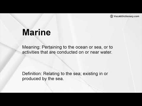 Marine Meaning
