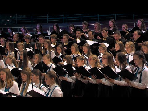 Michal Ziolkowski - Songs, Events and Music Stats | Viberate.com