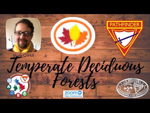 Temperate Deciduous Forests Pathfinder Honour e Honour