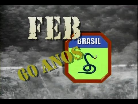 The Smoking Snakes – Brazilian expeditionary force in Europe during ...