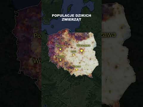 Złożyłem 16 Współczesnych Map Polski w 1 Obraz!