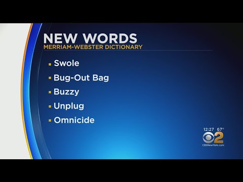 New Words Added To Dictionary