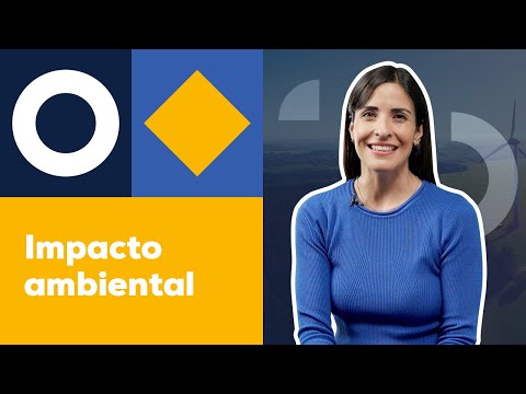 Definición, tipos y clasificación de impacto ambiental | Microguía