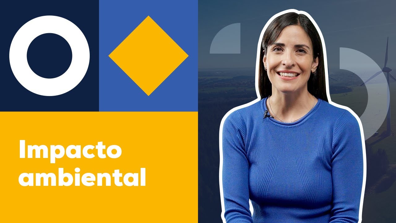 Definición, tipos y clasificación de impacto ambiental | Microguía