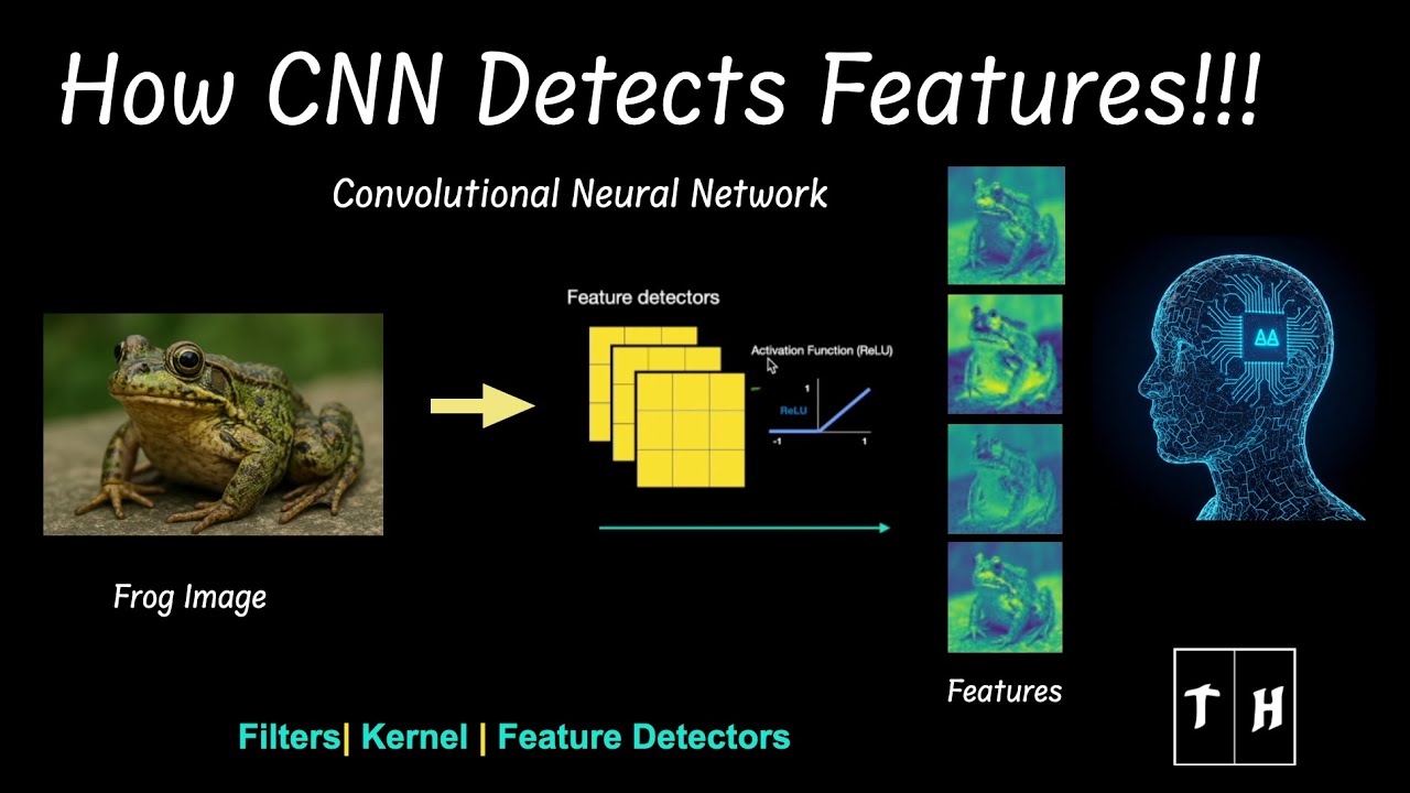 Feature Detectors in Convolutional Neural Networks Explained Visually | CNN Filters and Feature Maps