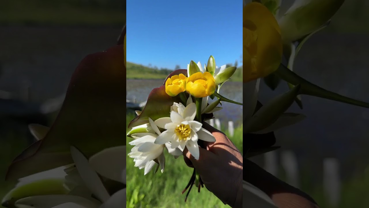 Liqenet e Lures, Diber