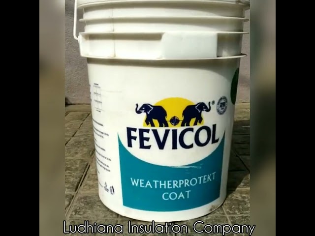 Pidilite Fevicol Adhesive - Fevicol SR 505 Trader - Retailer from Ludhiana