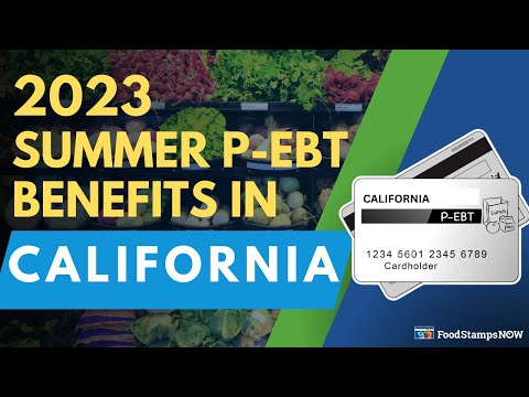 2023 Summer P-EBT in California (Payment Update)