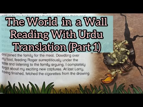 The World in a Wall | Translation | Oxford Modern English | Part 1