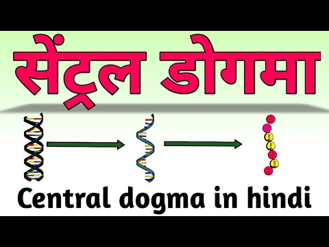 सेन्ट्रल डोगमा (Central dogma)| central dogma of molecular biology | central dogma in hindi
