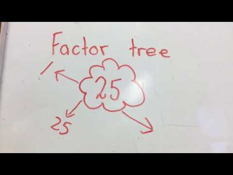 Factors of 25