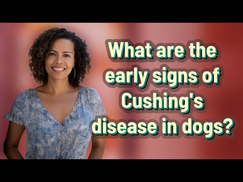 What are the early signs of Cushing's disease in dogs?