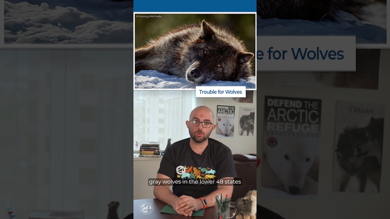 May Wildlife Times #news #conservation