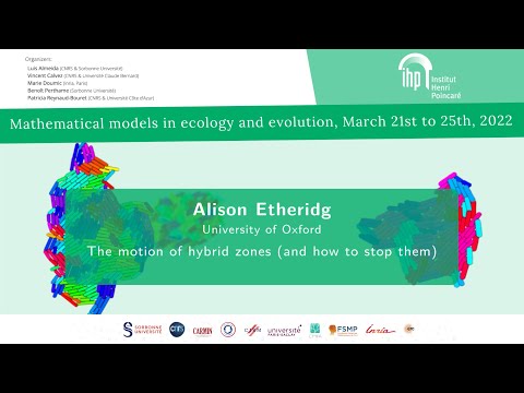 The motion of hybrid zones (and how to stop them)