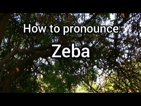 How to Pronounce