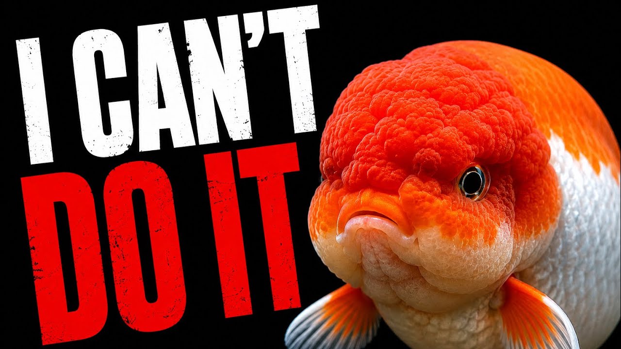 5 Fish I Can’t Keep Alive
