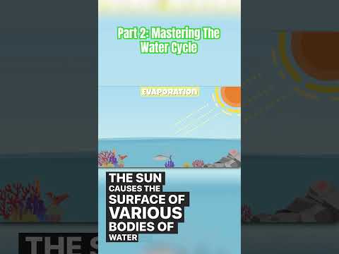 Part 2: Mastering the Water Cycle #WaterCycleBasics #condensation #precipitation