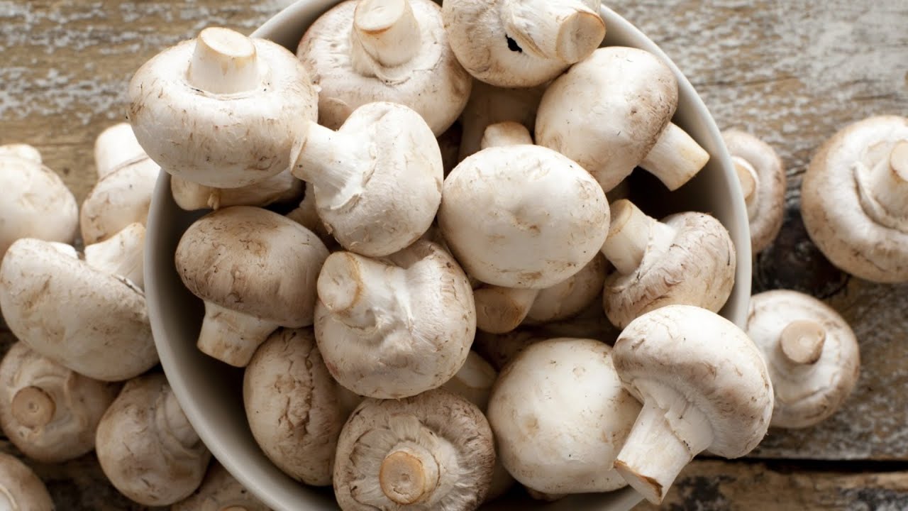 Détecter les signes de dégradation des champignons
