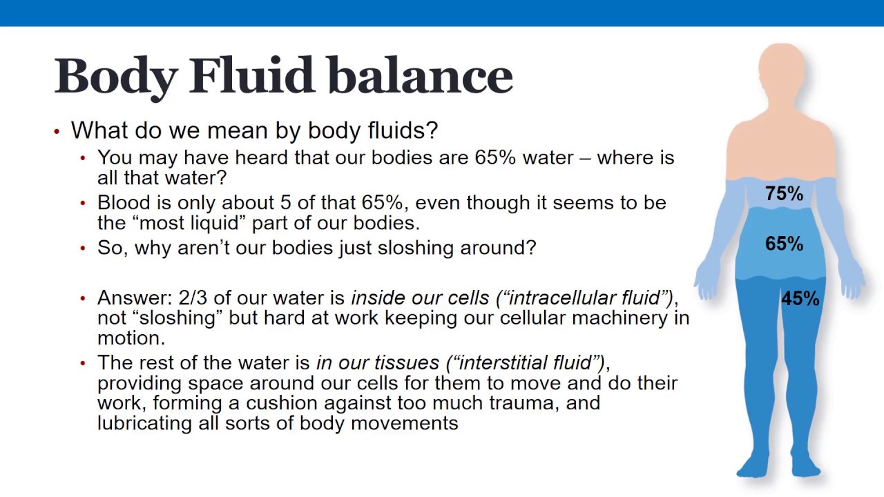 Body Fluid Balances part 1