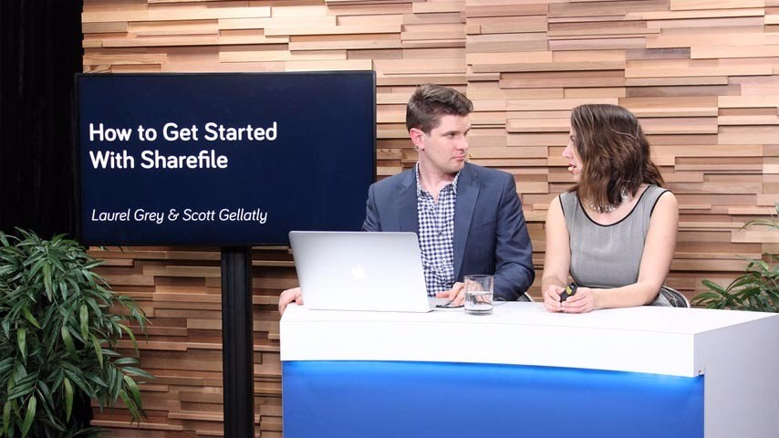 Sharefile Review - Beginners Guide PREVIEW by Bizversity.com