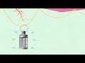 Clio Berry | About | University of Sussex