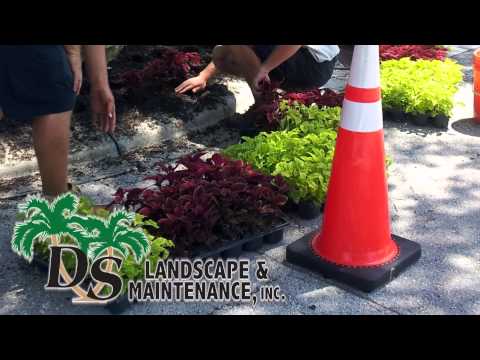 Flower Bed Design and Installation from D S Landscape & Maintenance of Orlando