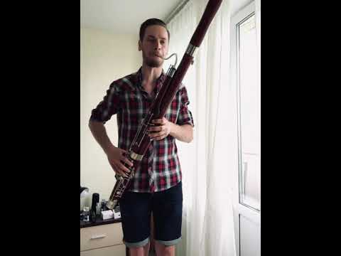 Oscar Adler & Co. Bassoon 1358 Orchestral Model iMuso