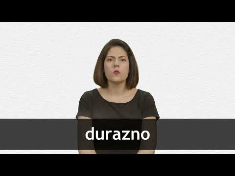 English Translation of “DURAZNO” | Collins Spanish-English Dictionary