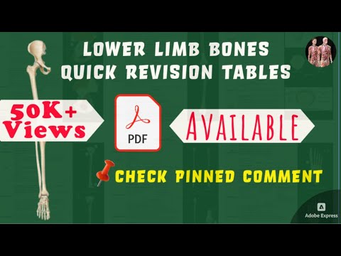 31 Lower Limb Bones - Quick Revision | 📝For PDF Notes, Check Description Box