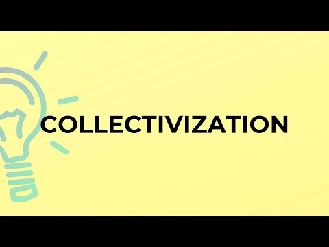What is the meaning of the word COLLECTIVIZATION?