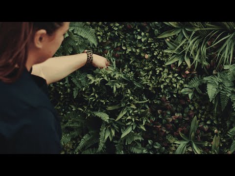 How to Make a Living Wall | Blooming Artificial