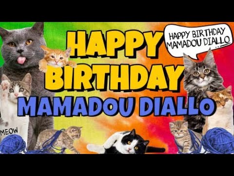 Happy Birthday Mamadou Diallo! Crazy Cats Say Happy Birthday Mamadou Diallo (Very Funny)
