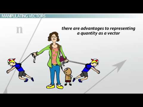 What Is a Vector?