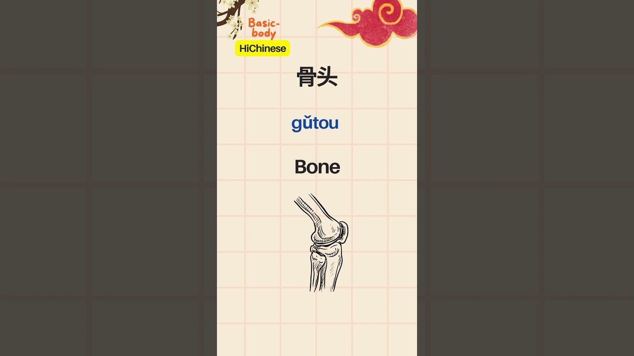 Chinese Language for Beginners - Body Parts Flash Cards