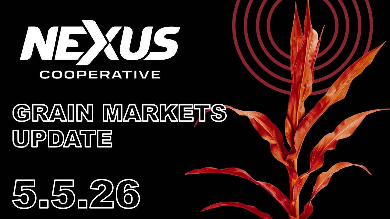 Nexus Grain Update - May 5, 2026