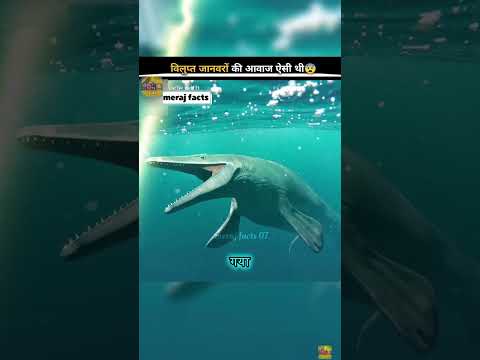 वैज्ञानिक के खोजे गए रहस्य आवाज What Extinct Animals Might Have Sounded Like
