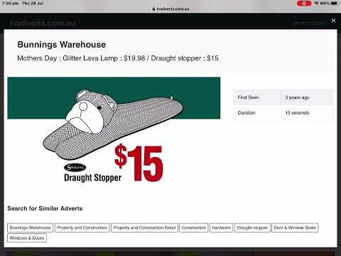 Bunnings Warehouse - Glitter Lava Lamp & Draught Stopper