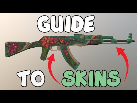 Beginners Guide To Skins (CS2)