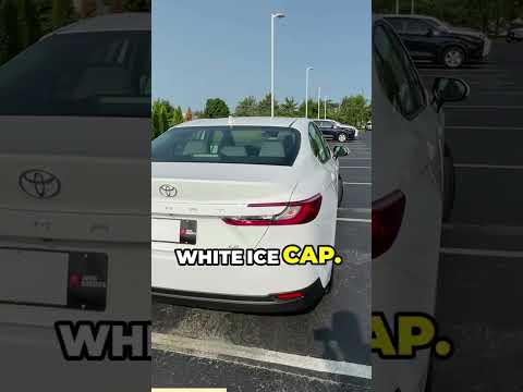 2025 Toyota Camry LE Walkaround Preview #nbcr #2025camry