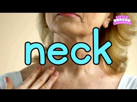 Phonics - Word Families: -eck