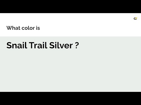 Snail Trail Silver color #e9eeeb hex Warm Grey color e9eeeb