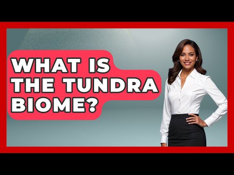 What Is The Tundra Biome? - Biology For Everyone