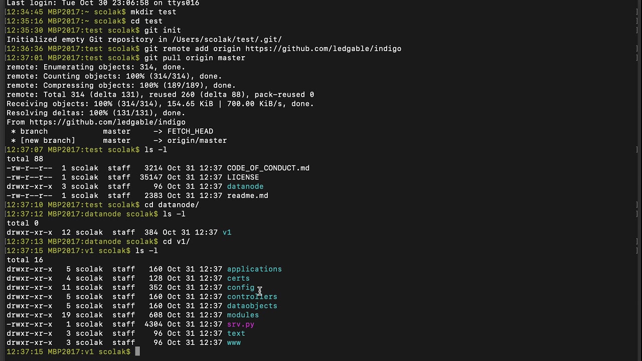 Installing Indigo from Github