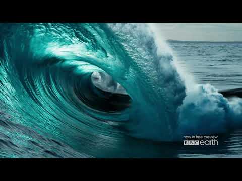 BBC Earth Free Preview Begins February 1st on Channel 278