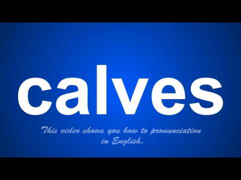 the correct pronunciation of calves in English.