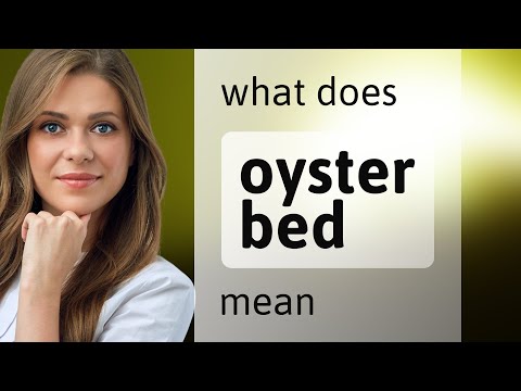 Oyster bed • meaning of OYSTER BED