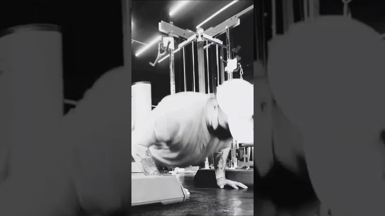 no eres lo que logras....eres lo que superas ! #shorts #gym #viral
