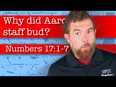 Why did Aaron’s staff bud? - Numbers 17:1-7
