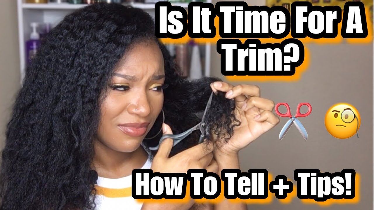 Do You Need A Trim? How To Tell When It's Time for a Trim + Tips For Healthy Ends!